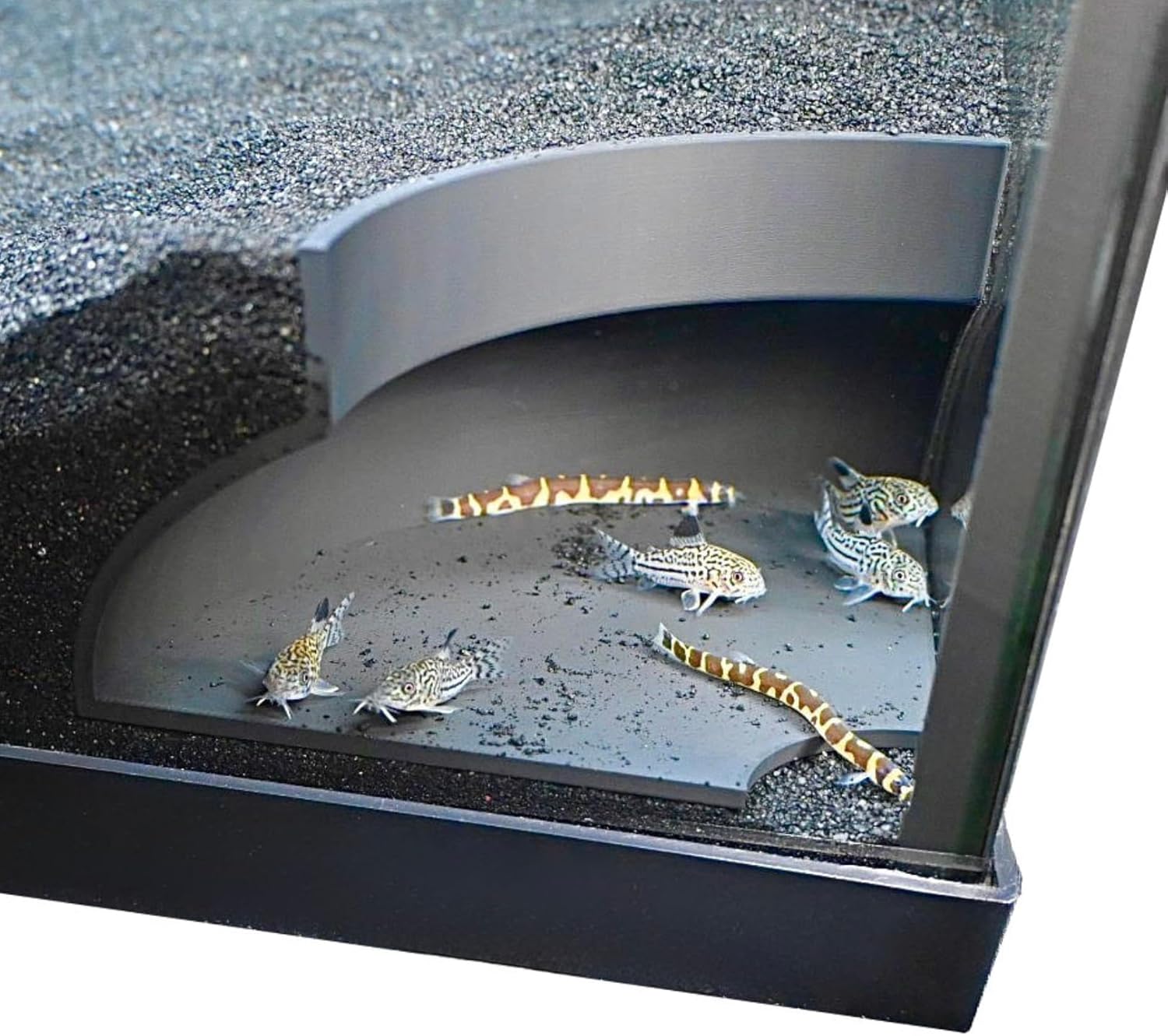 Aquarium Cave Half Dome Fish Tank Decoration, Axolotl Hide, Kuhli Loach ...